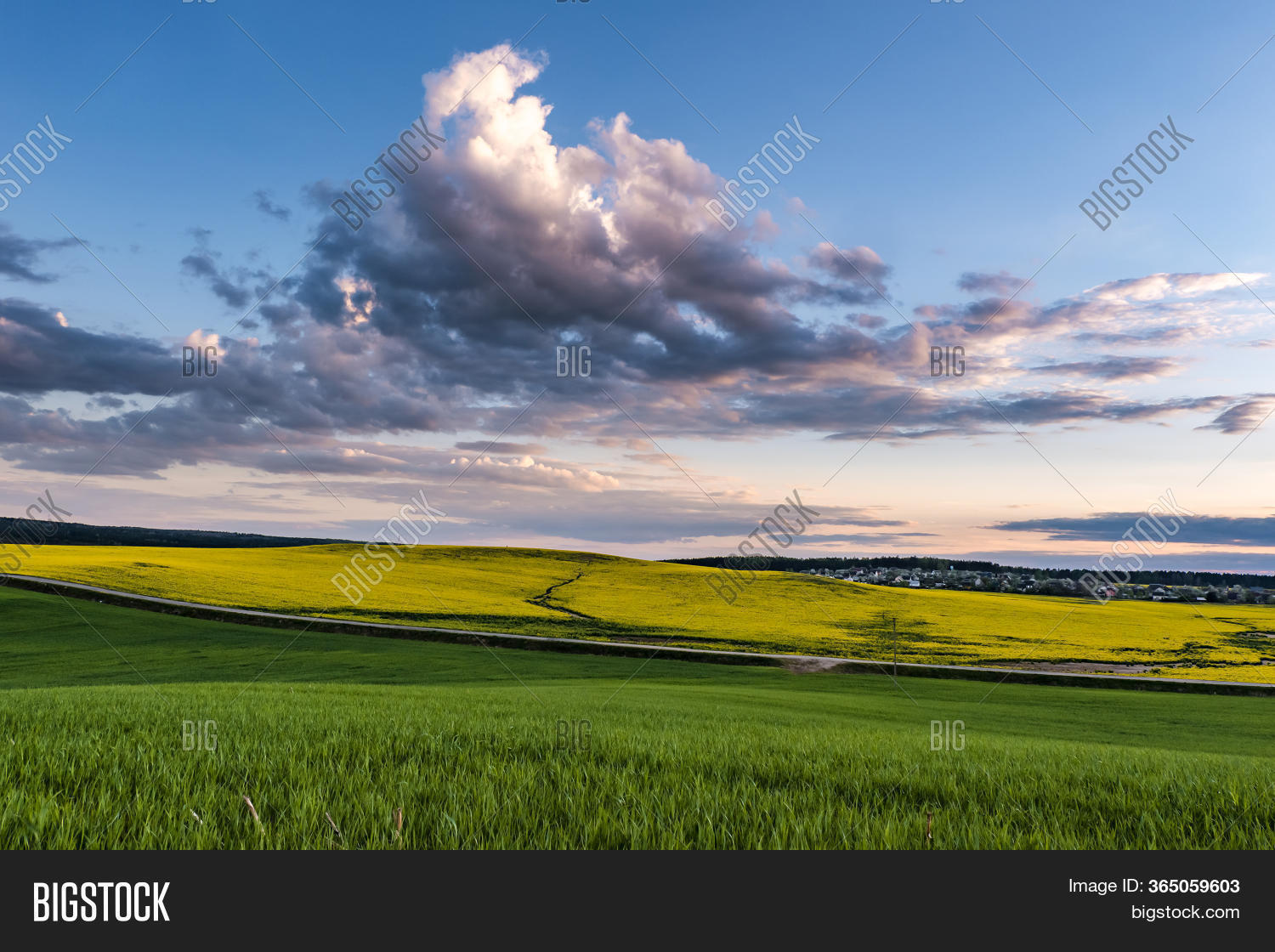 Landscape Field Image & Photo (Free Trial) | Bigstock