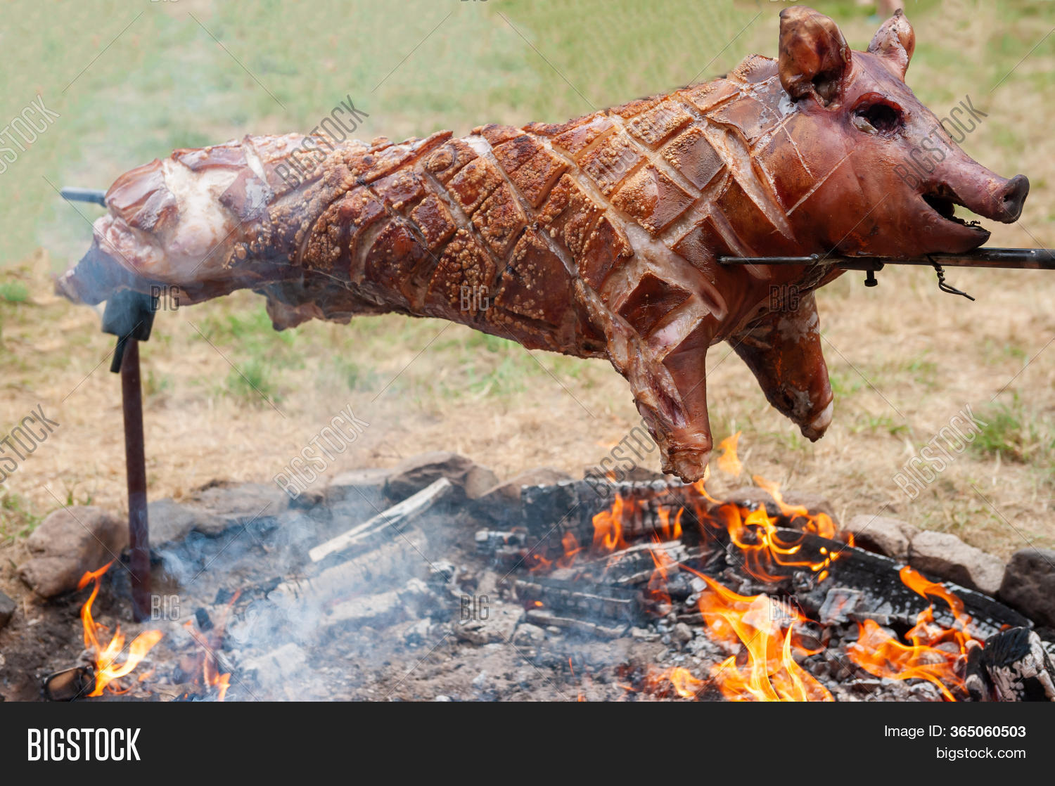 Whole Roasted Piglet Image & Photo (Free Trial) | Bigstock