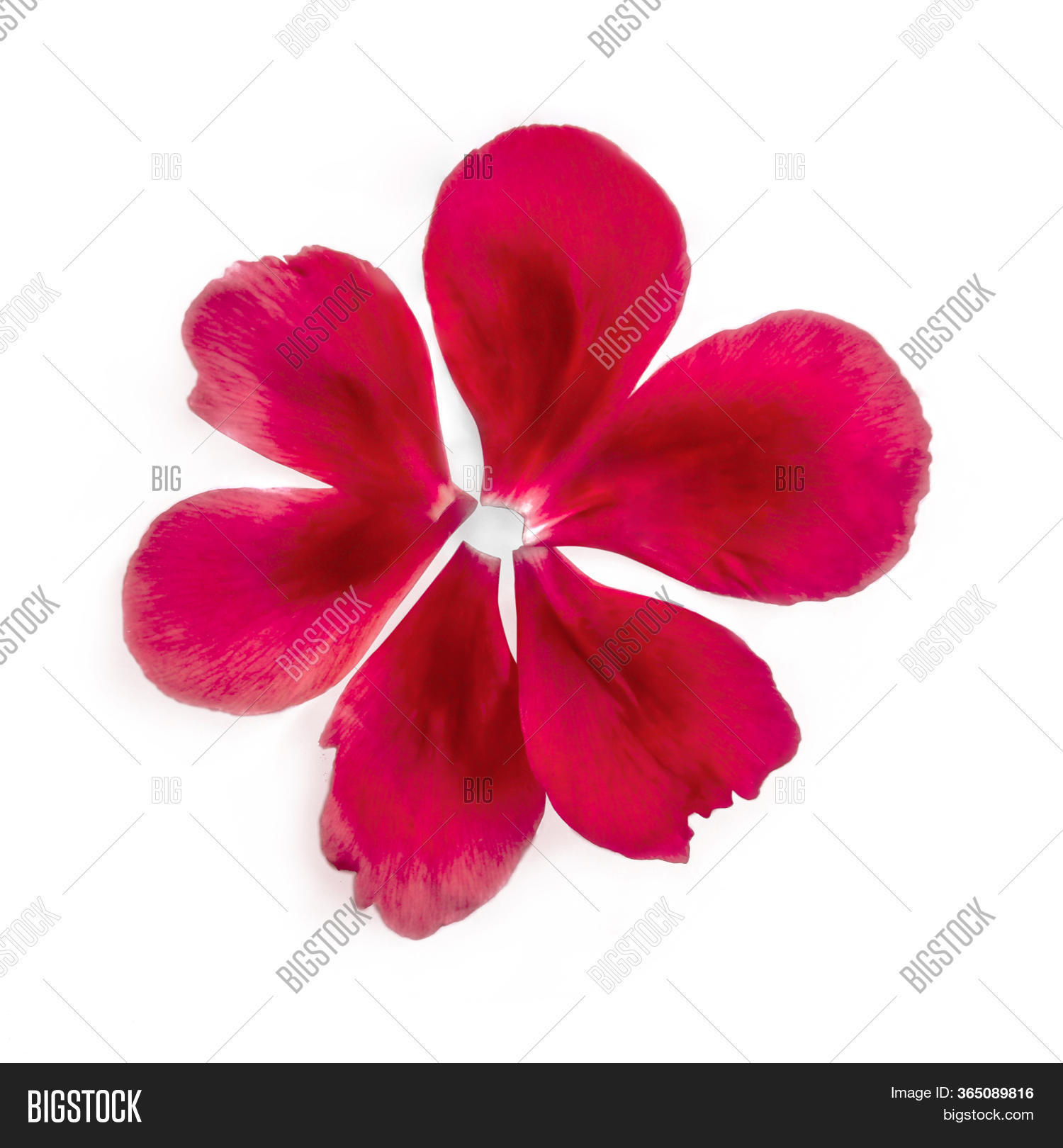 Abstract Flower Image & Photo (Free Trial) | Bigstock