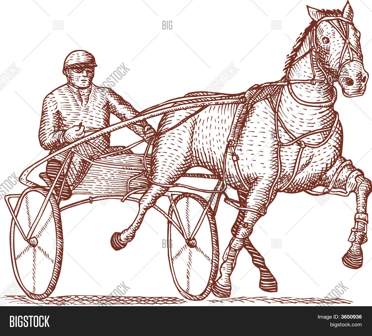 Harness Racing Vector & Photo (Free Trial) | Bigstock