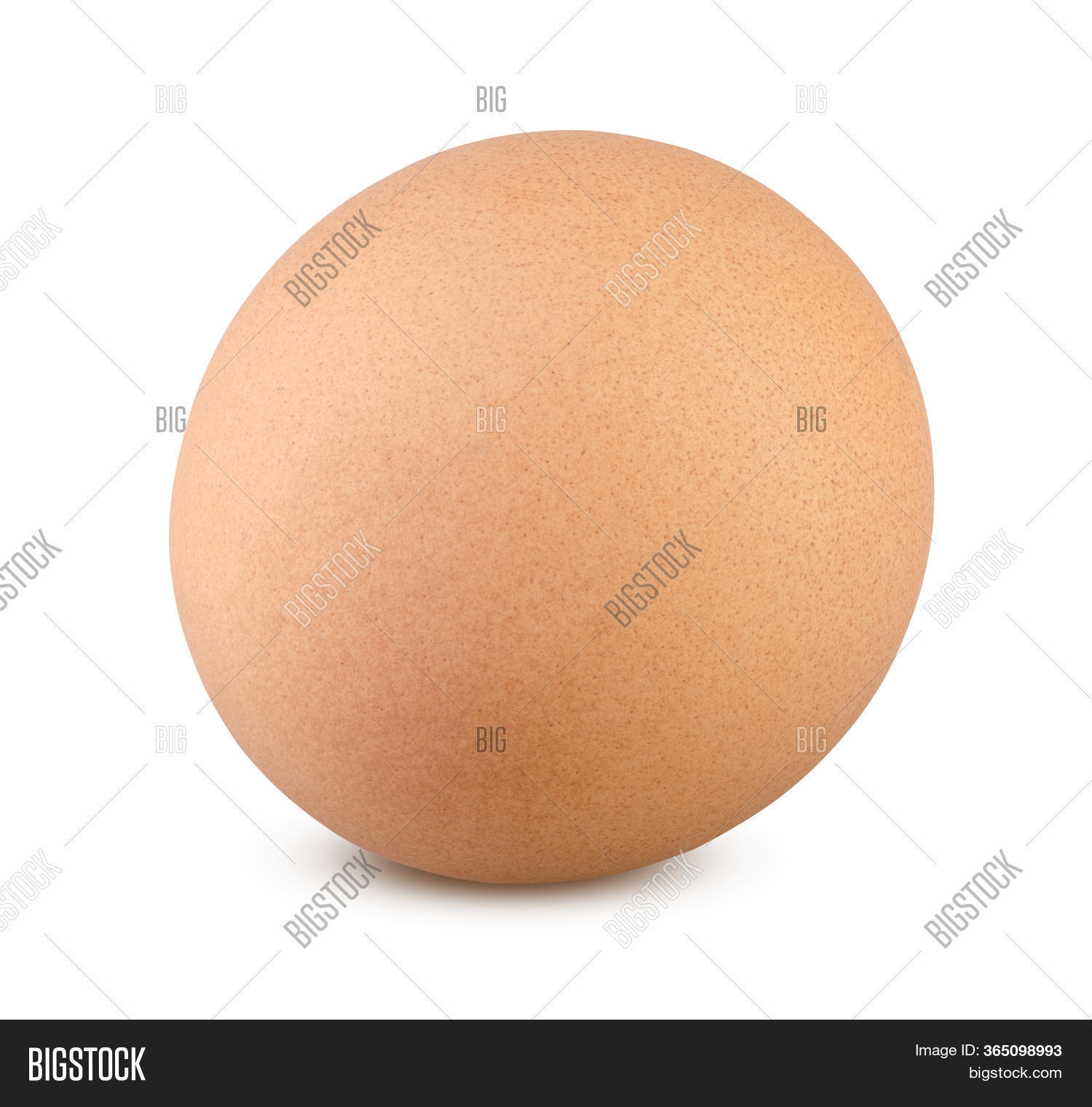 Egg Whole Isolated. Image & Photo (Free Trial) | Bigstock