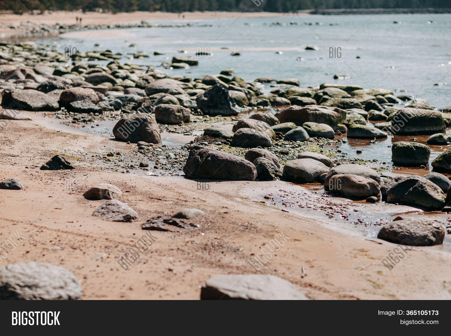 Ocean Shore, Sand Image & Photo (Free Trial) | Bigstock