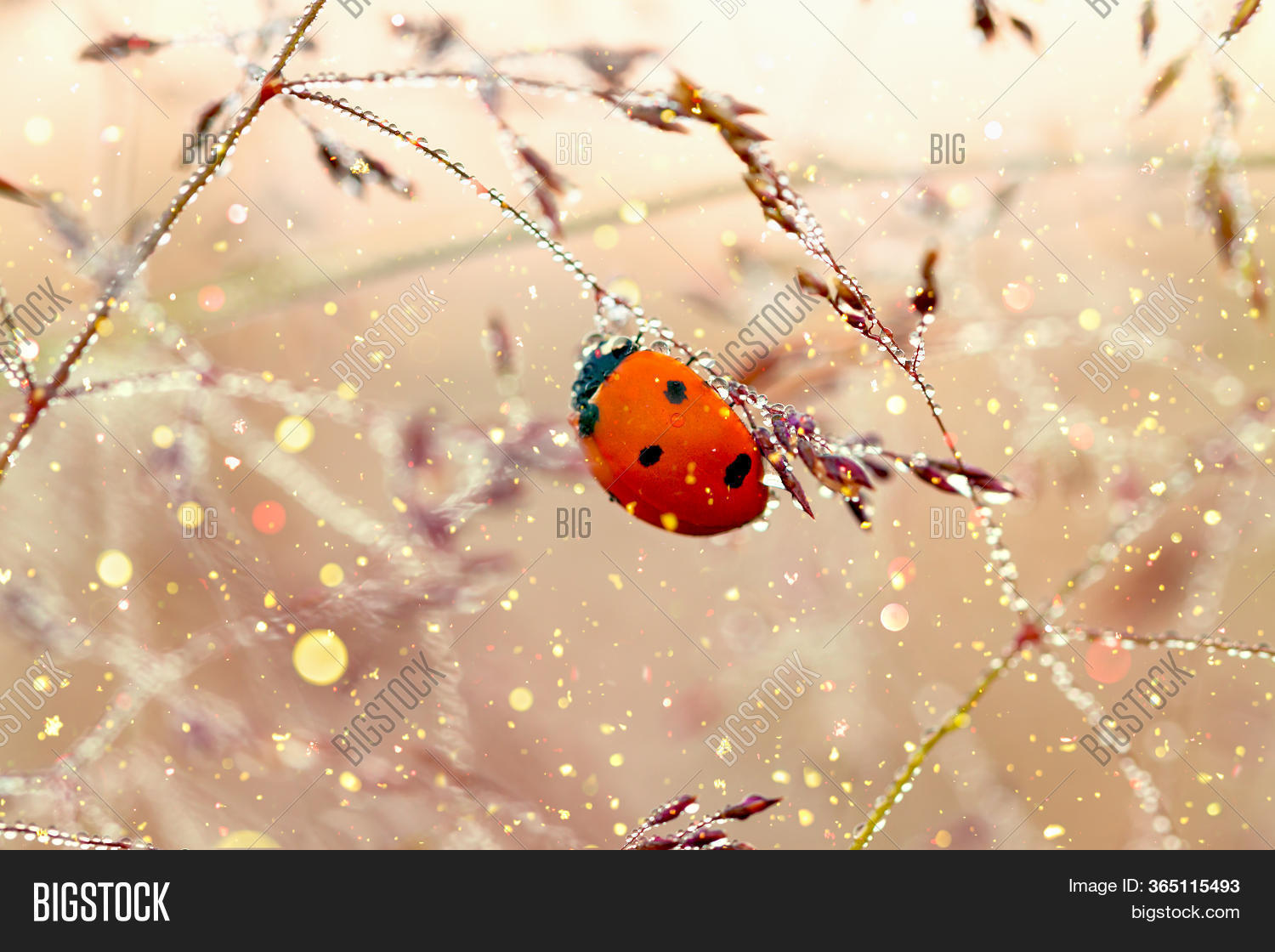 Fairy Tale Spring Image & Photo (Free Trial) | Bigstock