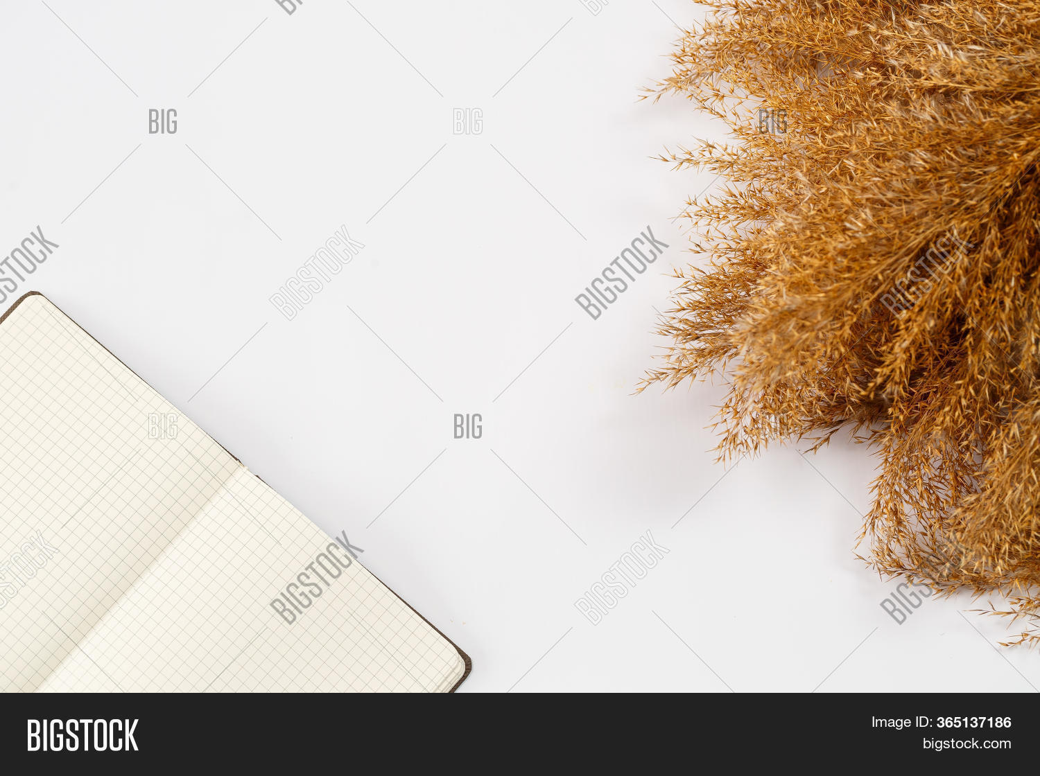 Notebook Clean White Image & Photo (Free Trial) | Bigstock