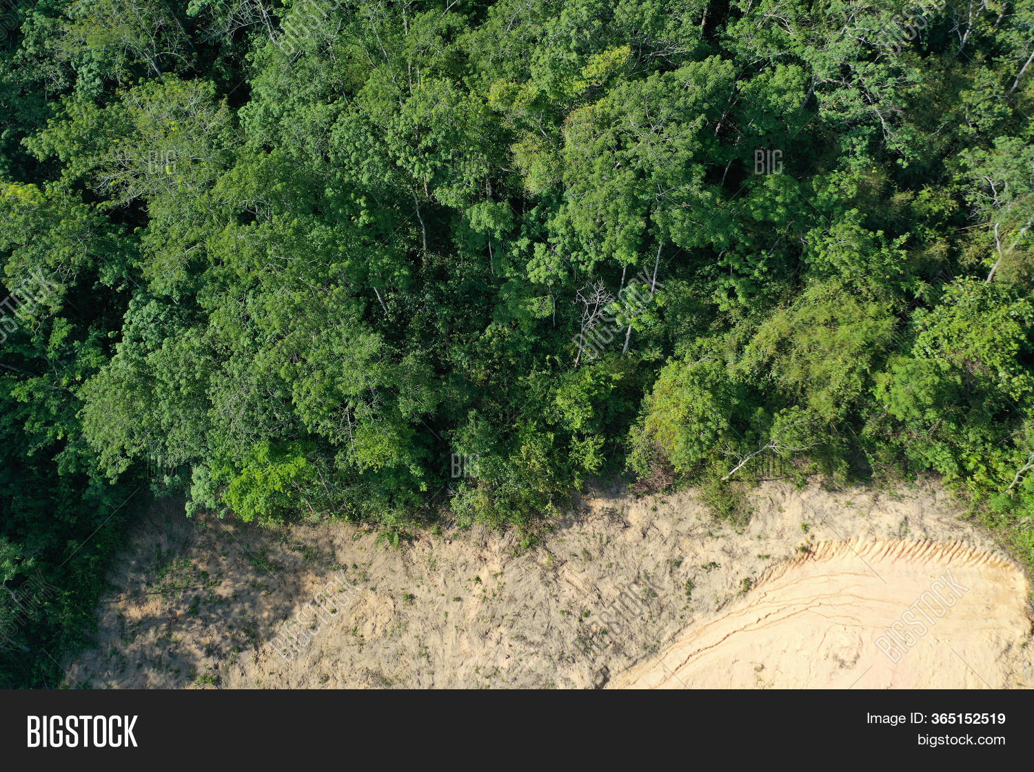 Deforestation. Aerial Image & Photo (Free Trial) | Bigstock