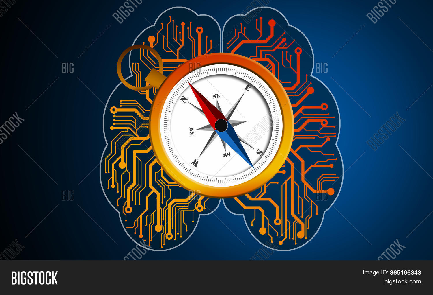 Human Brain Compass Image & Photo (Free Trial) | Bigstock