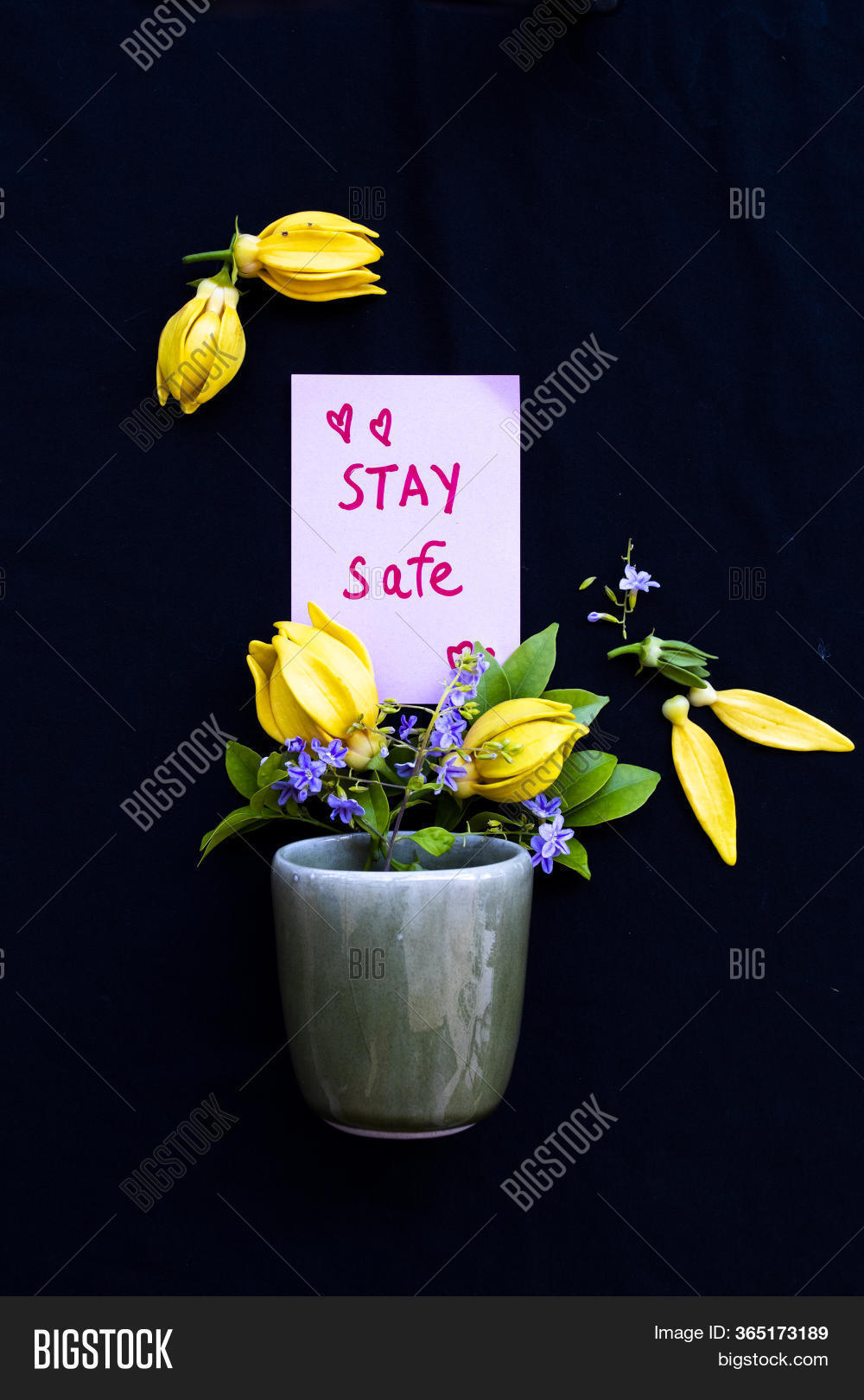 Stay Safe Message Card Image & Photo (Free Trial) | Bigstock