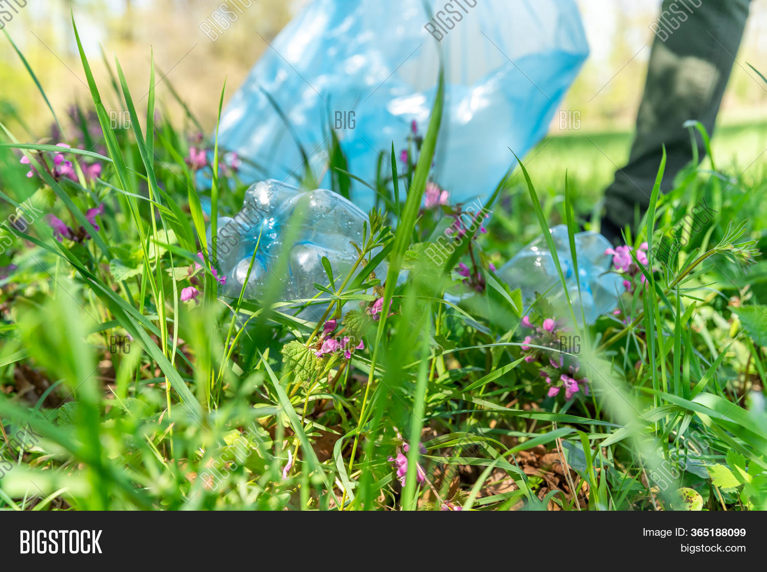 Cleaning Nature By Image & Photo (Free Trial) | Bigstock