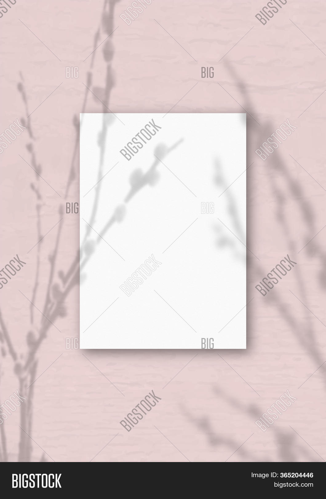 Vertical A4 Sheet Image & Photo (Free Trial) | Bigstock