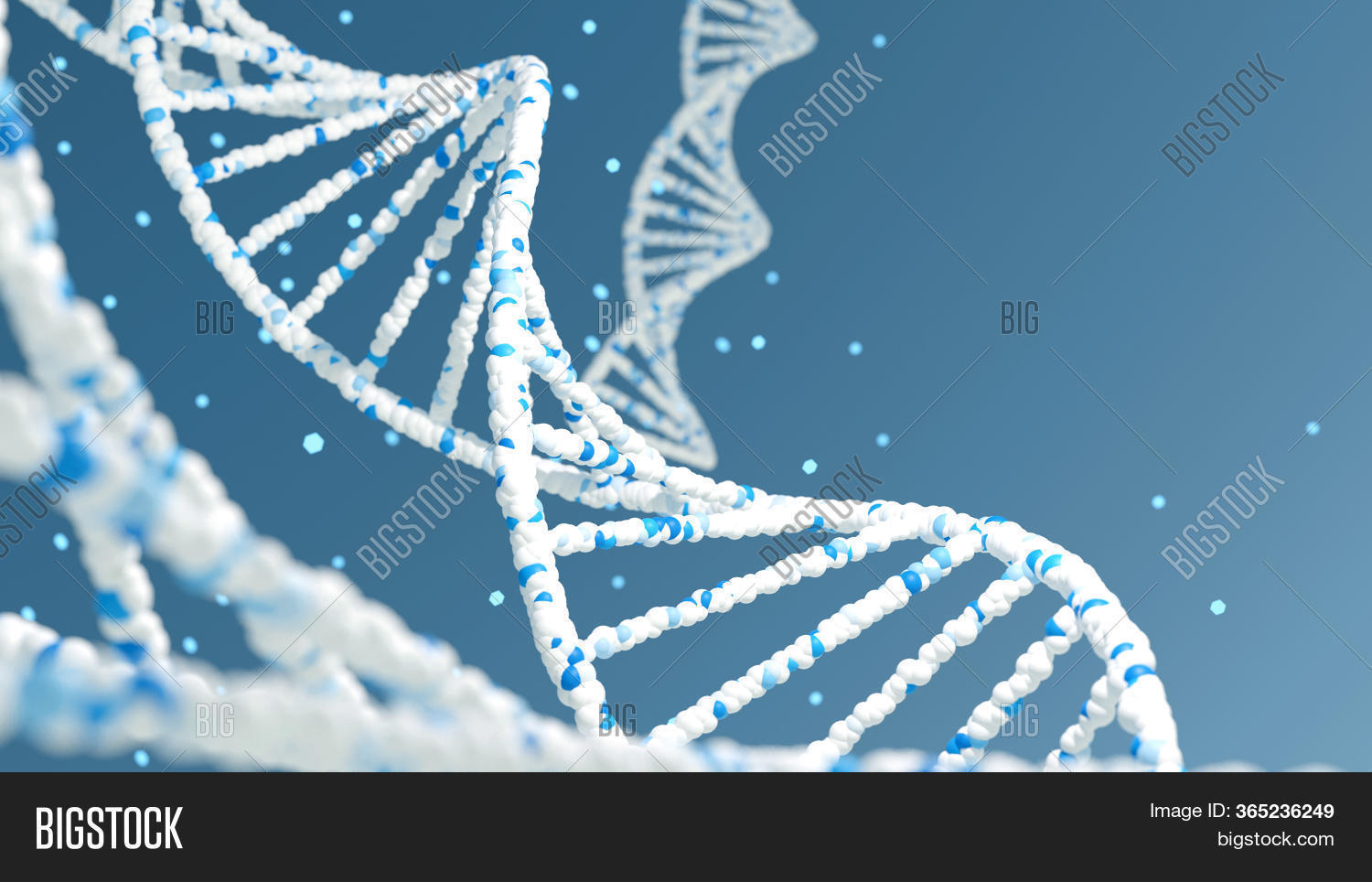 Abstract Dna Wireframe Image & Photo (Free Trial) | Bigstock