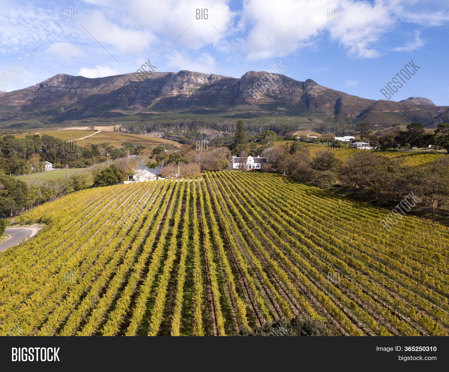 Aerial Wine Farm Cape Image & Photo (Free Trial) | Bigstock