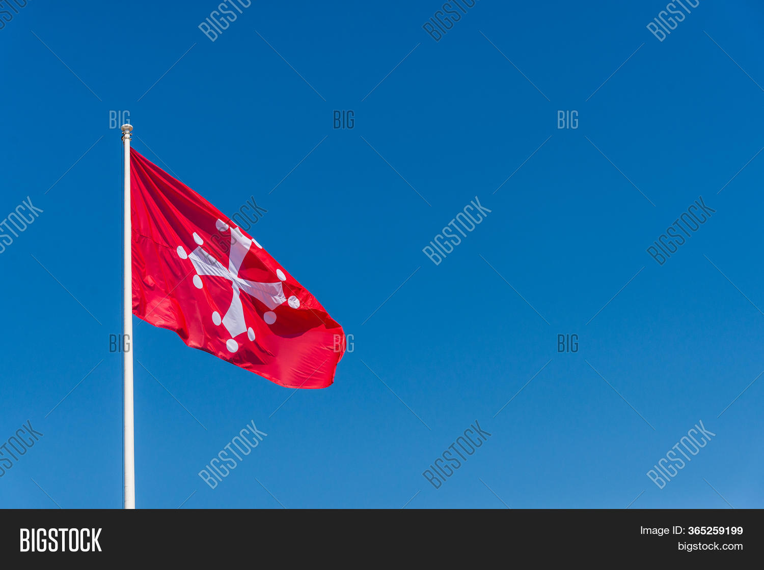 Pisan Cross, Official Image & Photo (Free Trial) | Bigstock