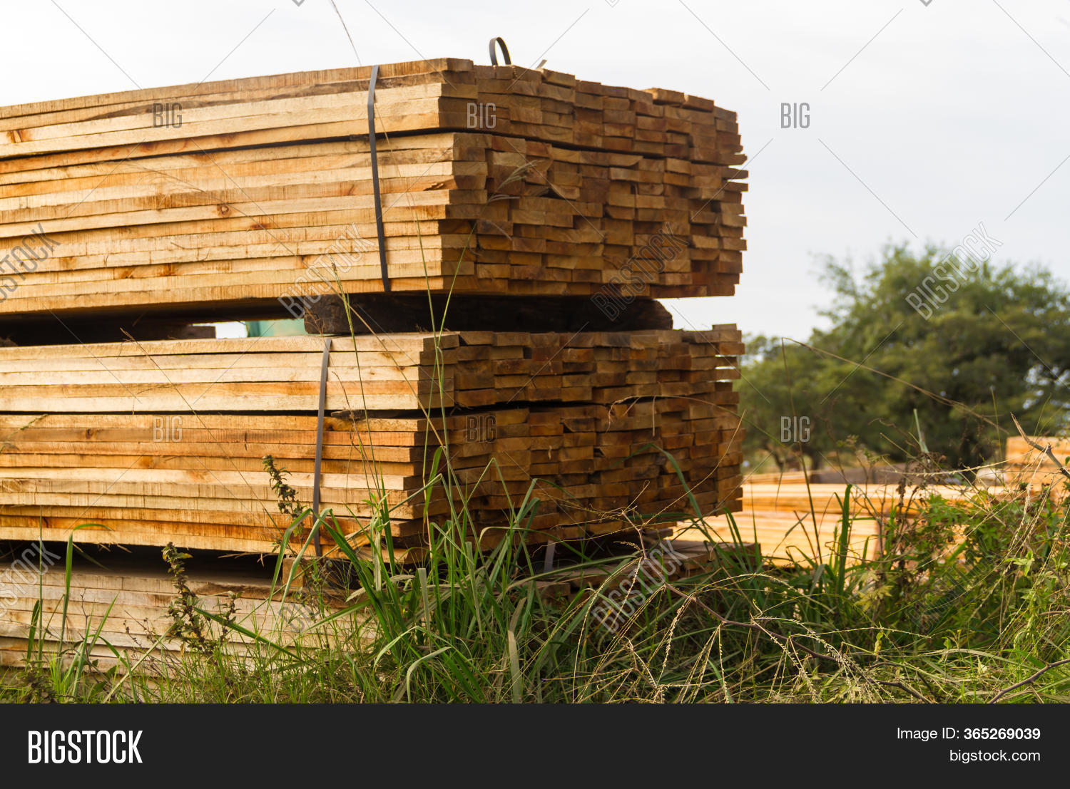 Wood Boards Stacked Image & Photo (Free Trial) | Bigstock