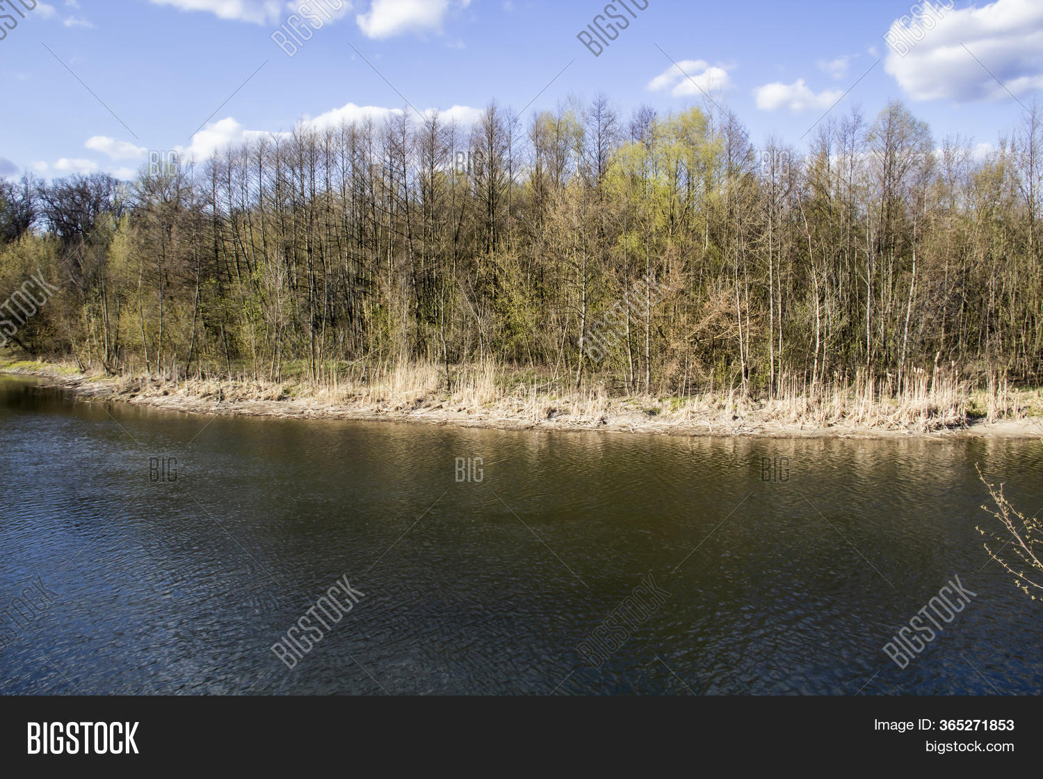 Ukranian Landscape Image & Photo (Free Trial) | Bigstock
