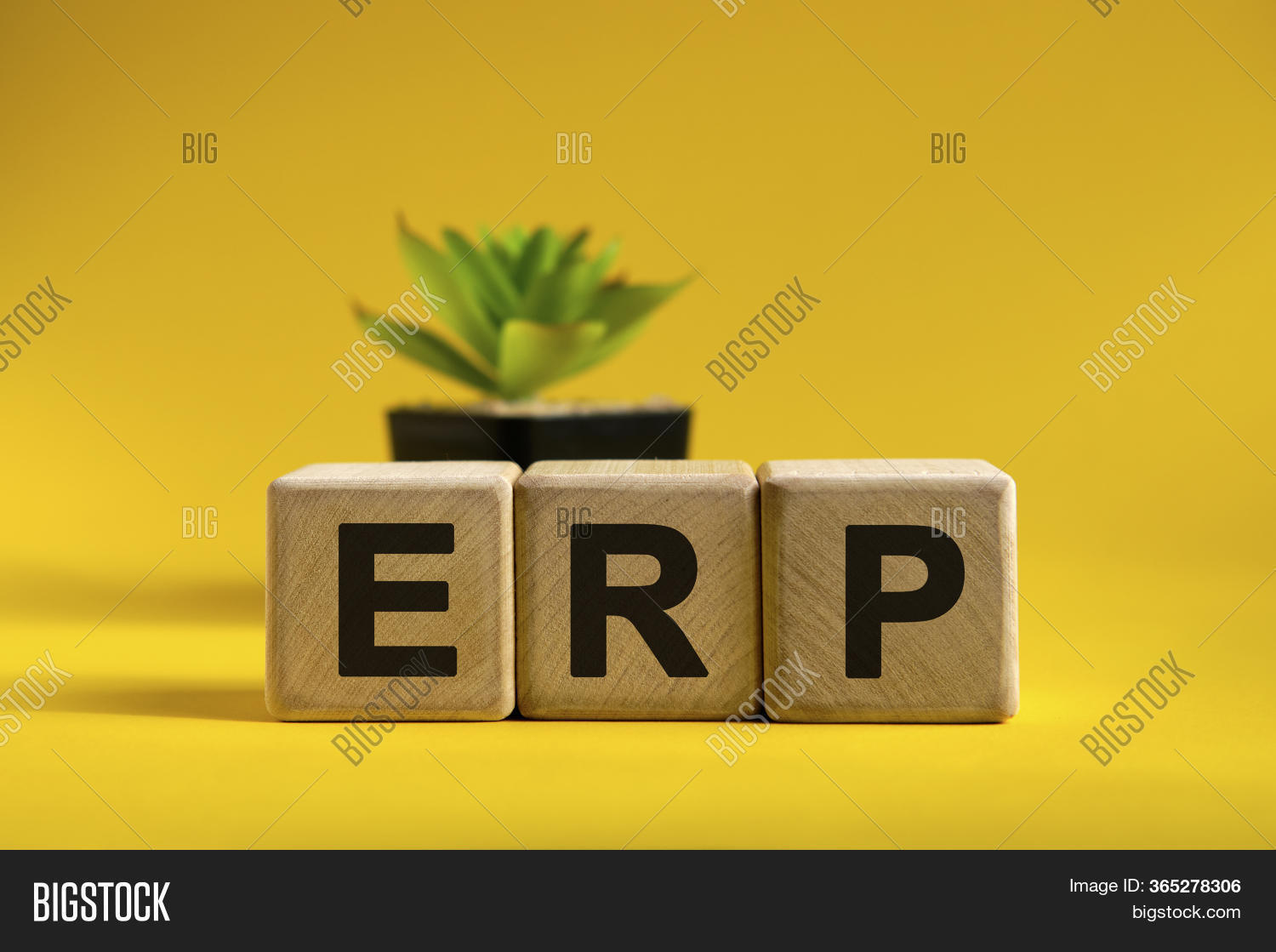 Erp - Conceptual Text Image & Photo (Free Trial) | Bigstock