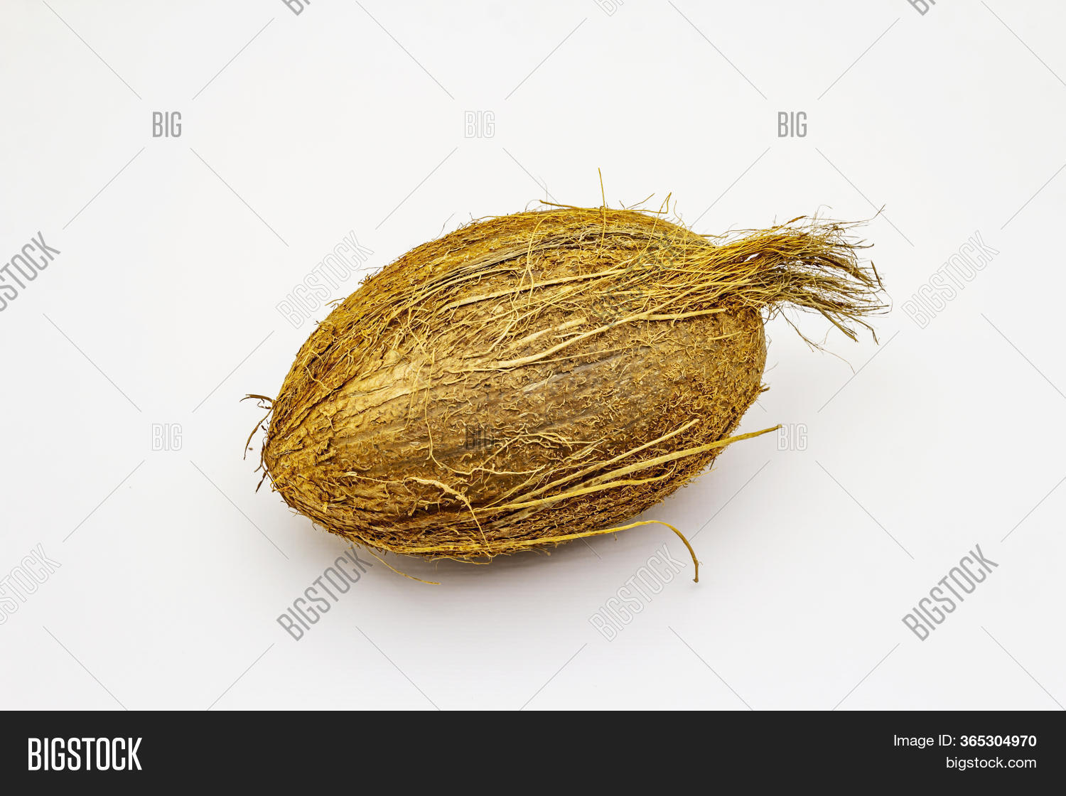 Fresh Ripe Coconut Image & Photo (Free Trial) | Bigstock