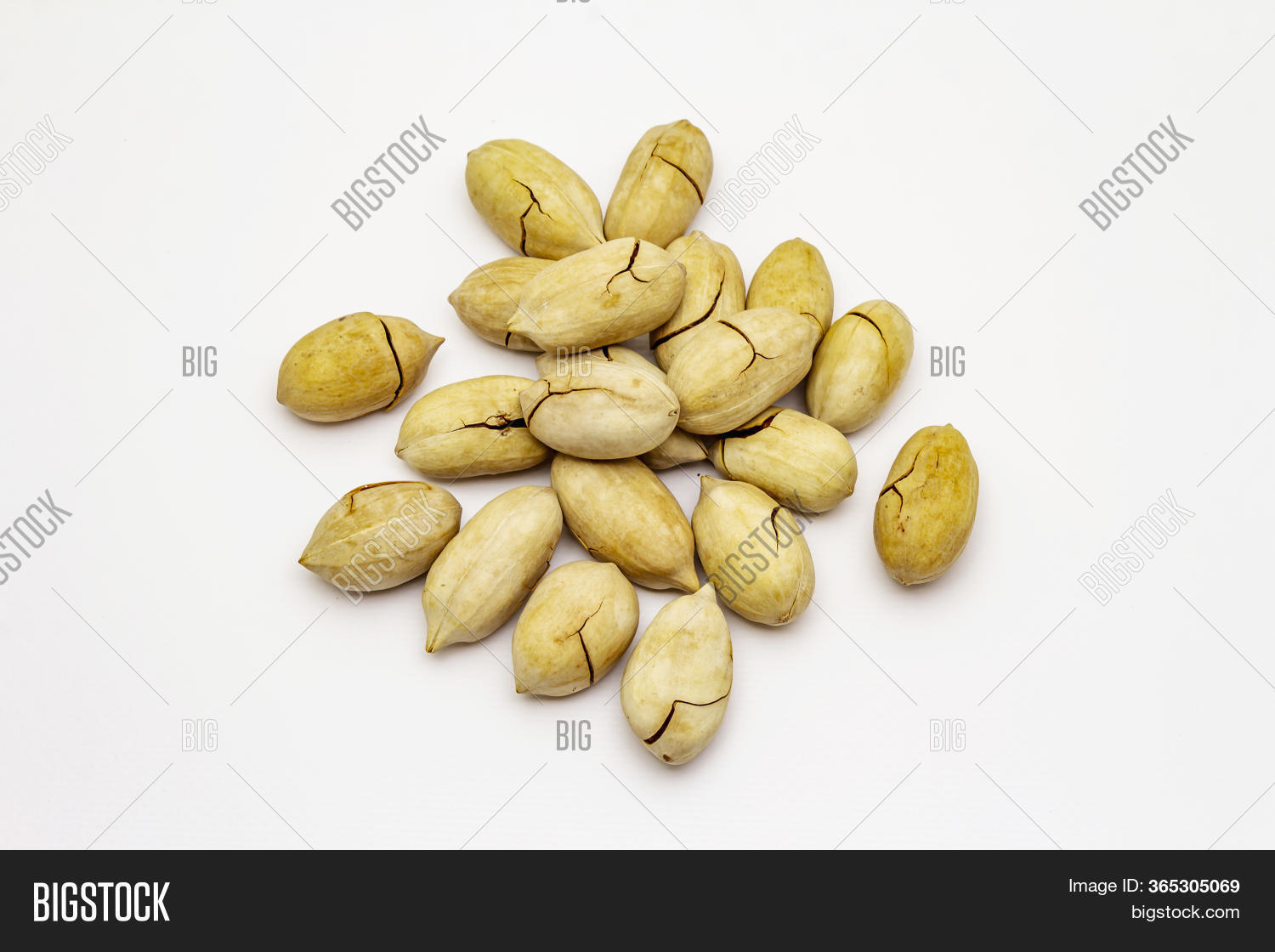 Ripe Pecan Isolated On Image & Photo (Free Trial) | Bigstock