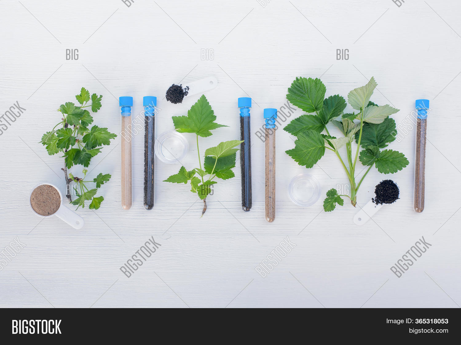 Soil Science Concept. Image & Photo (Free Trial) | Bigstock