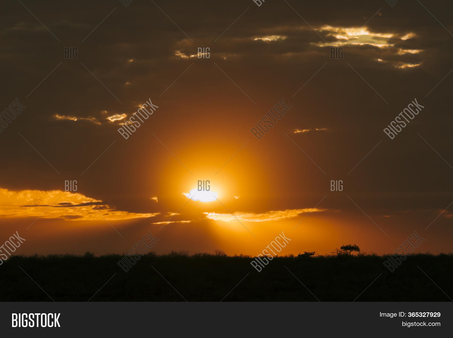 God Rays Sunlight Image & Photo (Free Trial) | Bigstock