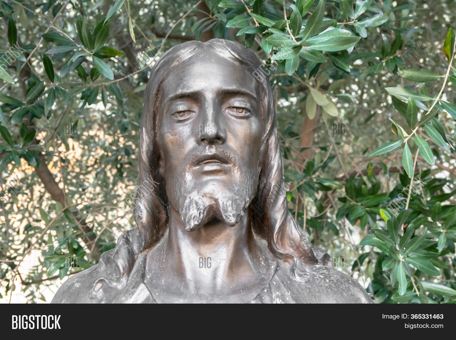 Silver Portrait Photo Image & Photo (Free Trial) | Bigstock