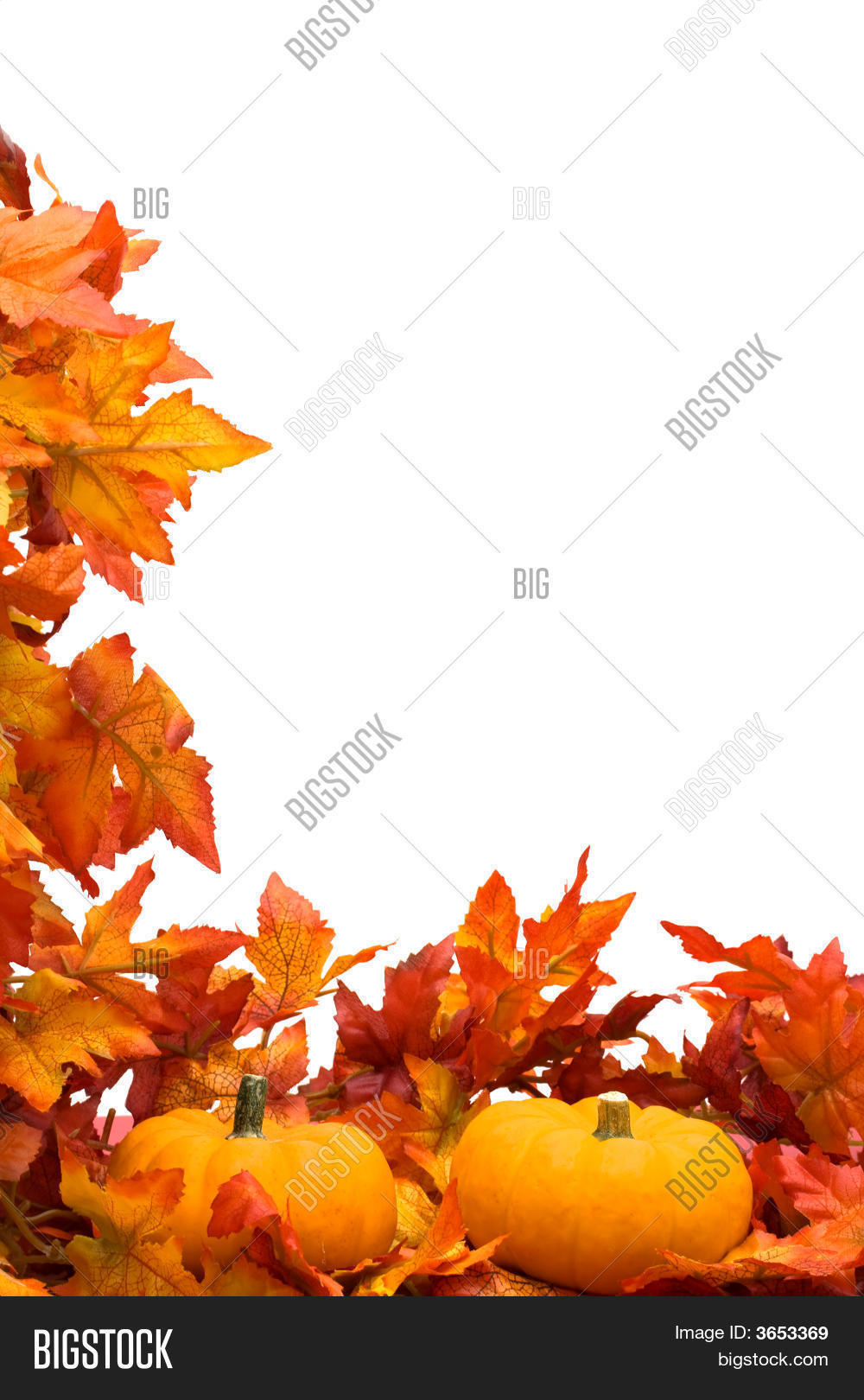 Fall Harvest Border Image & Photo (Free Trial) | Bigstock