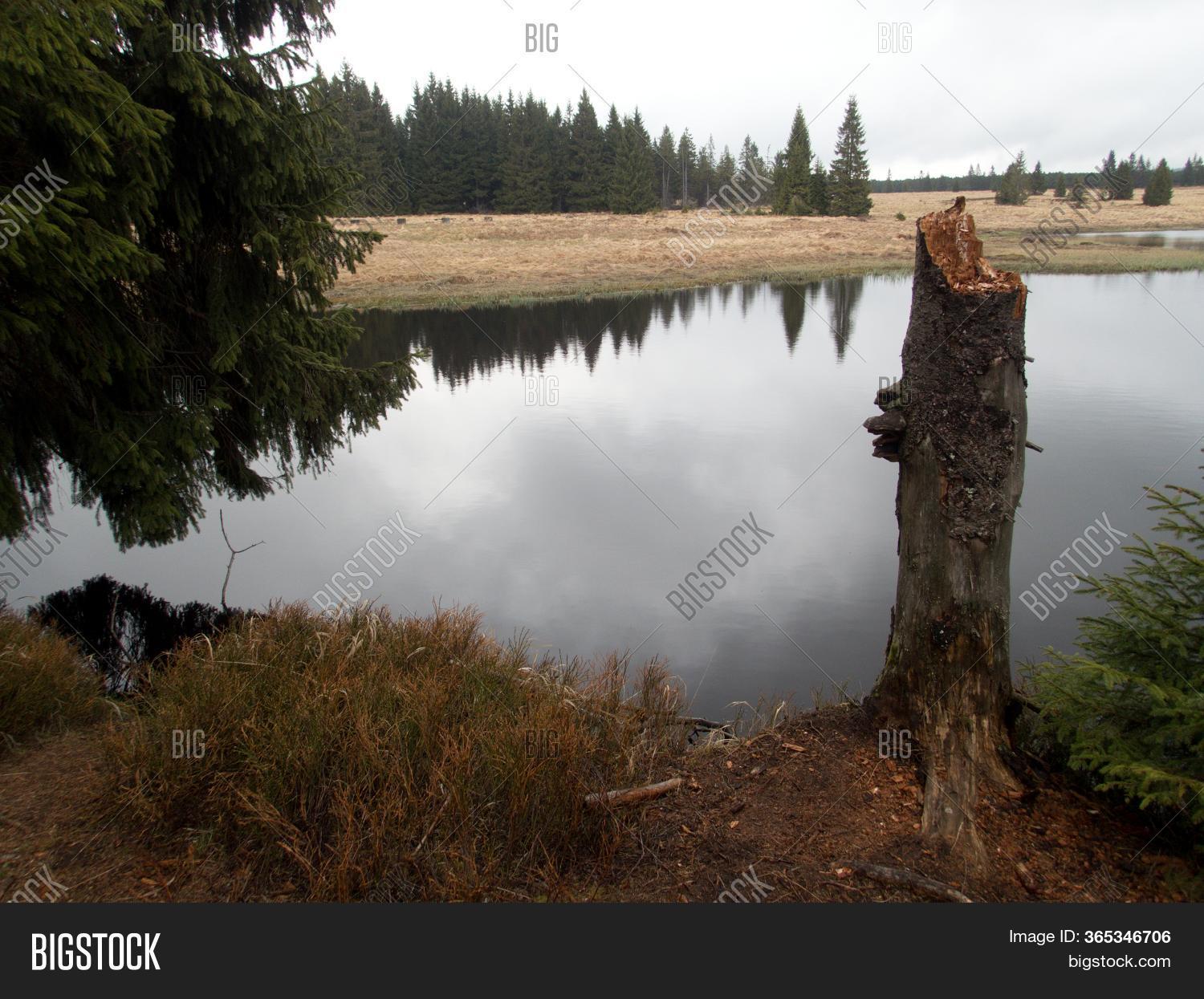 Beautiful Lake Forest Image & Photo (Free Trial) | Bigstock