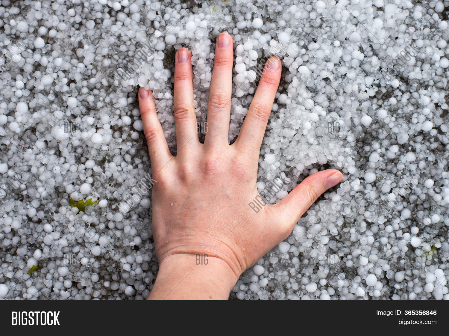Hand Lies On Ground Image & Photo (Free Trial) | Bigstock