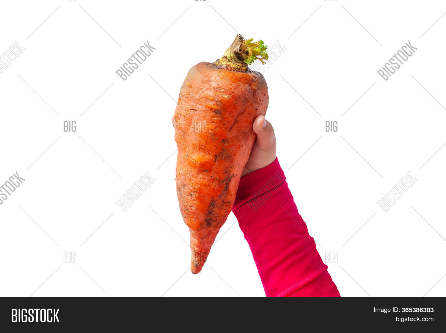 Ugly Food. Deformed Image & Photo (Free Trial) | Bigstock