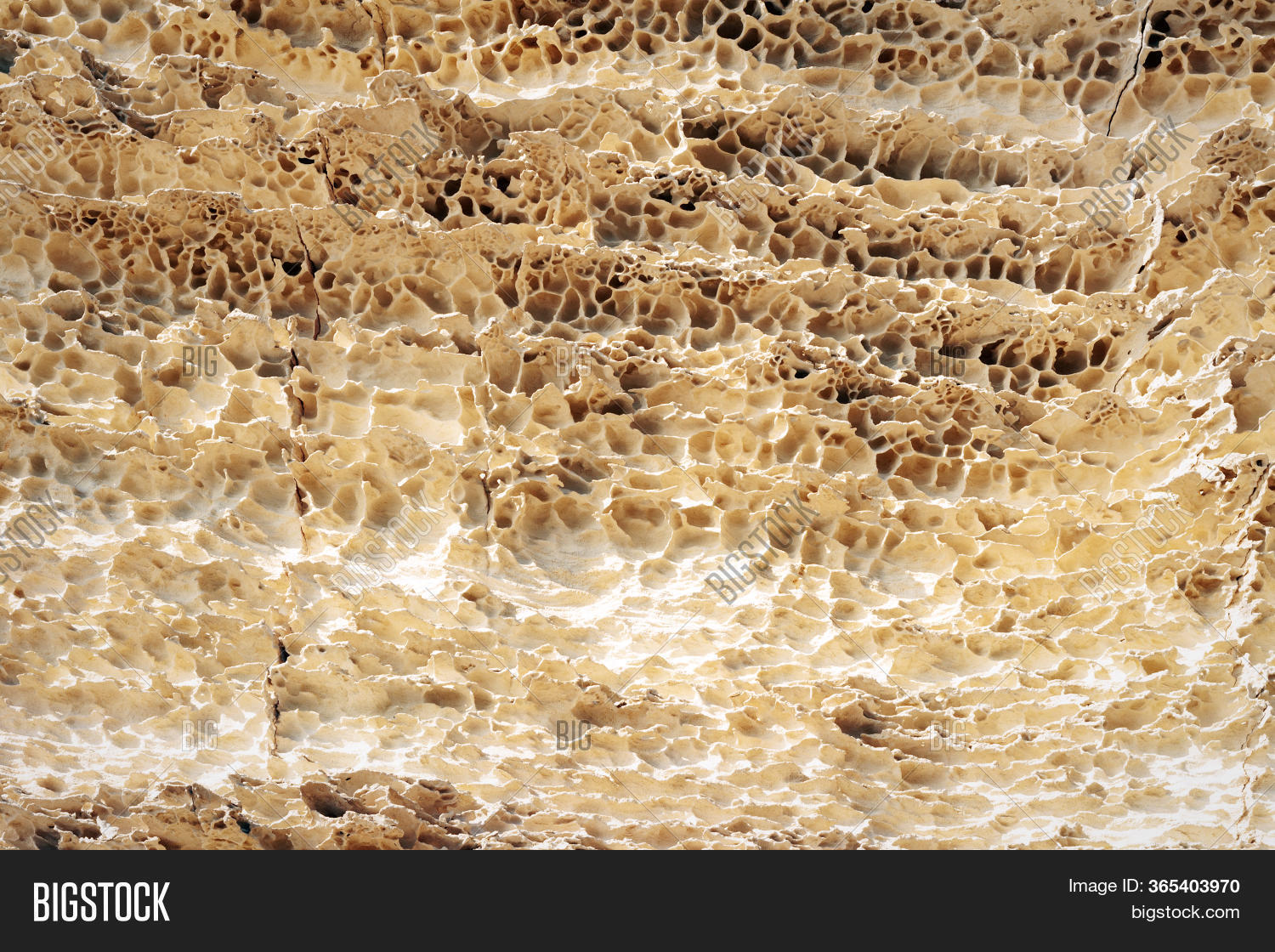 Surface Sandy Rock. Image & Photo (Free Trial) | Bigstock