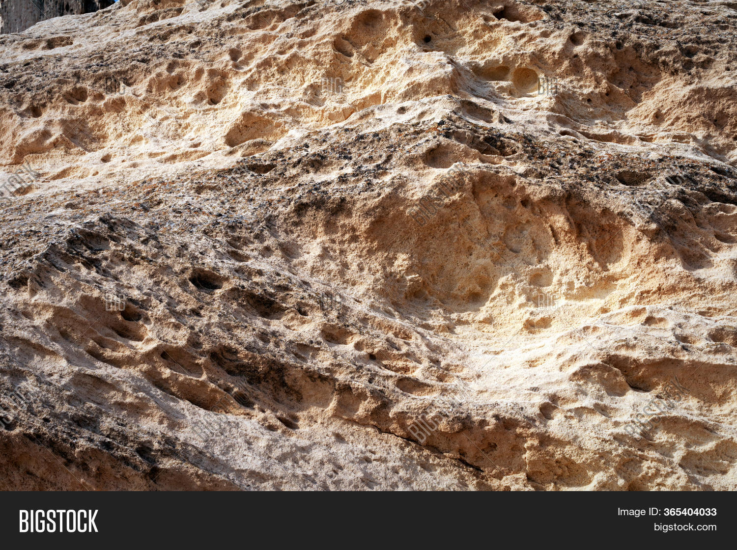 Surface Sandy Rock. Image & Photo (Free Trial) | Bigstock