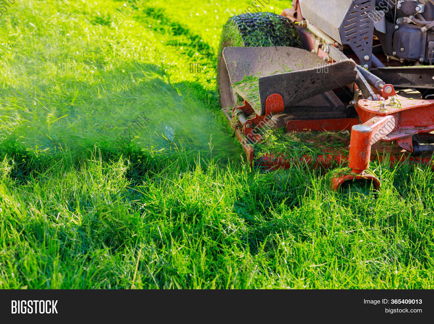 Close Cutting Grass Image & Photo (Free Trial) | Bigstock