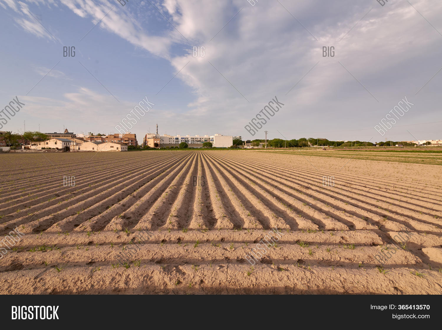Agriculture Field Image & Photo (Free Trial) | Bigstock