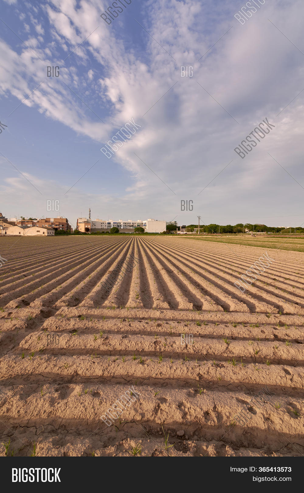 Agriculture Field Image & Photo (Free Trial) | Bigstock