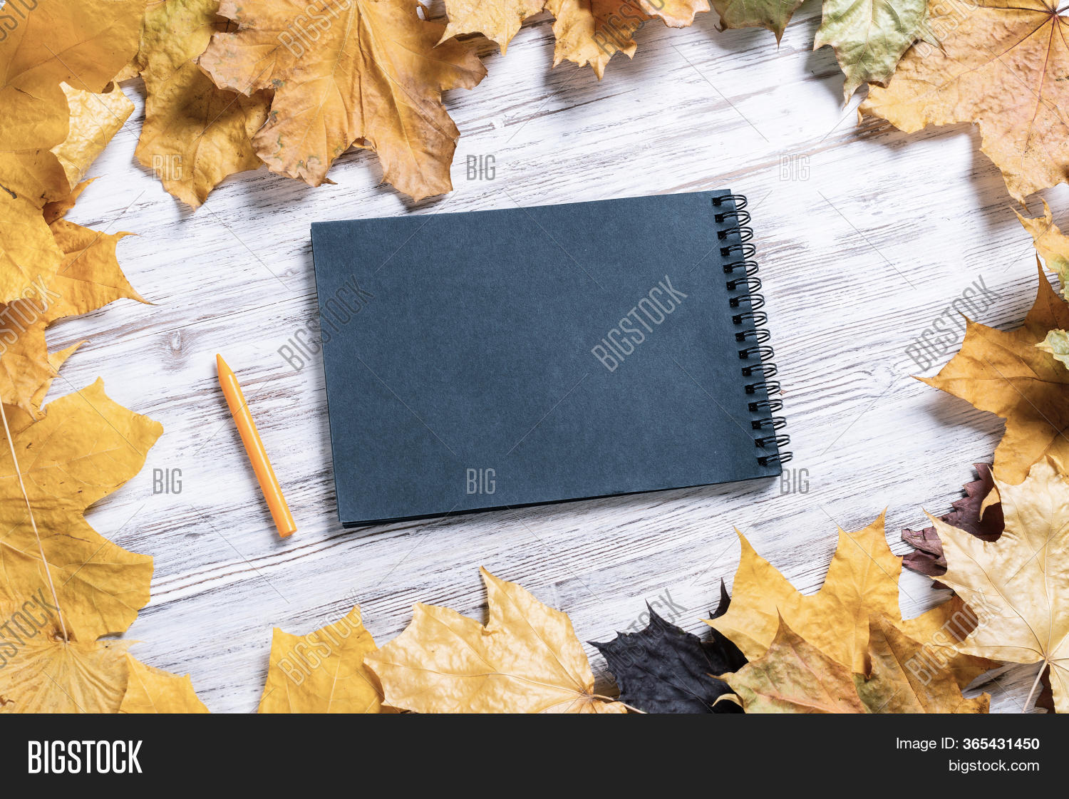Spiral Black Notepad Image & Photo (Free Trial) | Bigstock