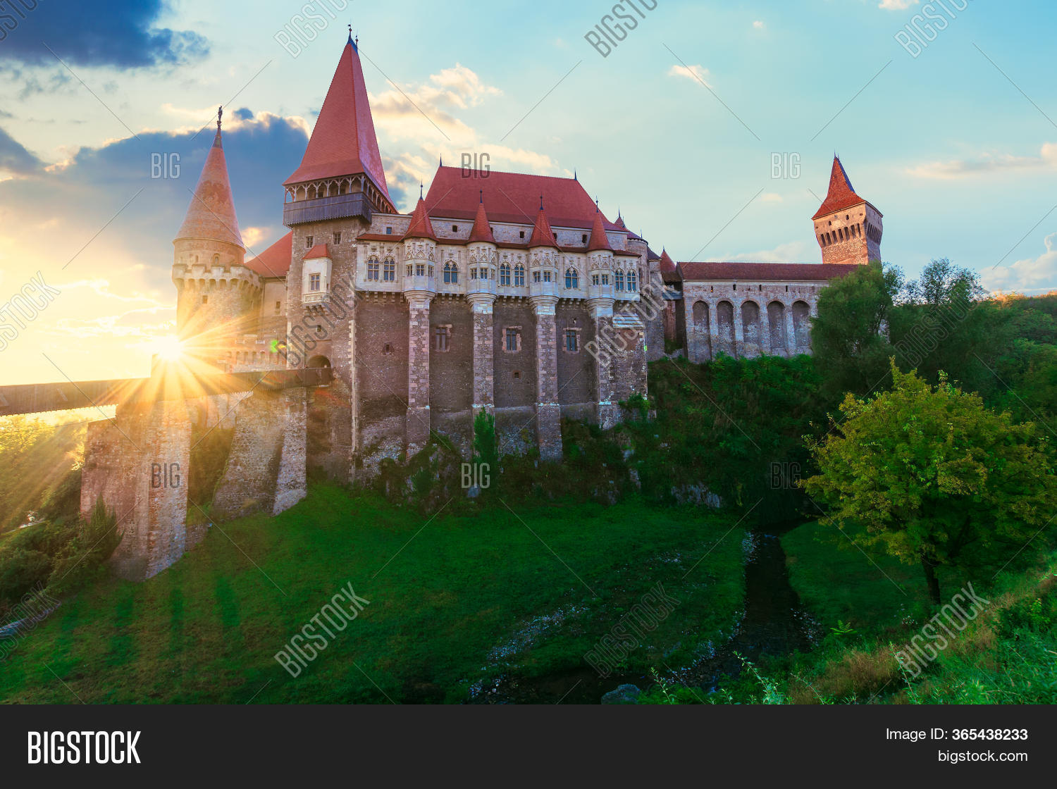 Legendary Corvins Image & Photo (Free Trial) | Bigstock