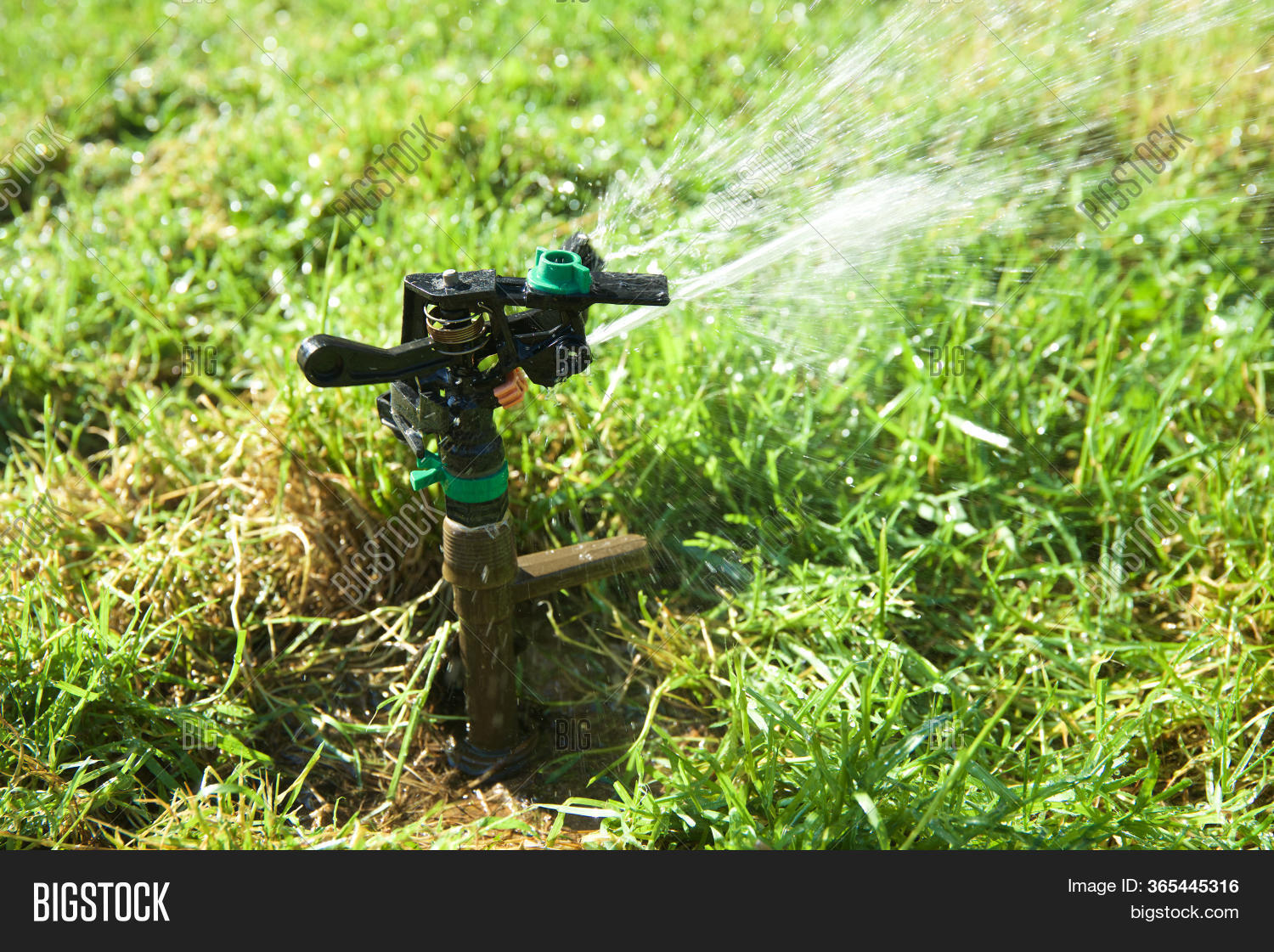 Closeup Sprinkler Image & Photo (Free Trial) | Bigstock