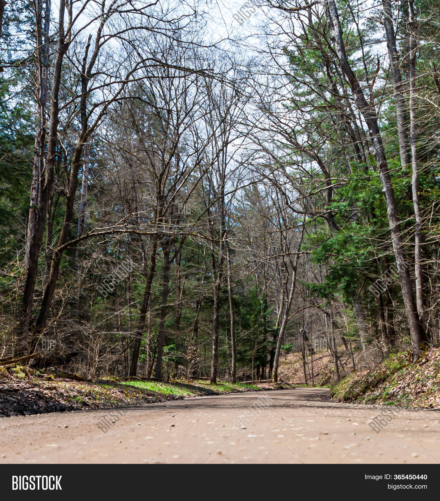 Low Angle Shot Dirt Image & Photo (Free Trial) | Bigstock