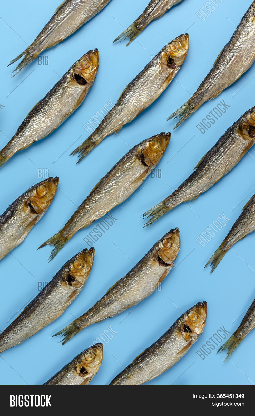 Fish Pattern. Herring Image & Photo (Free Trial) | Bigstock