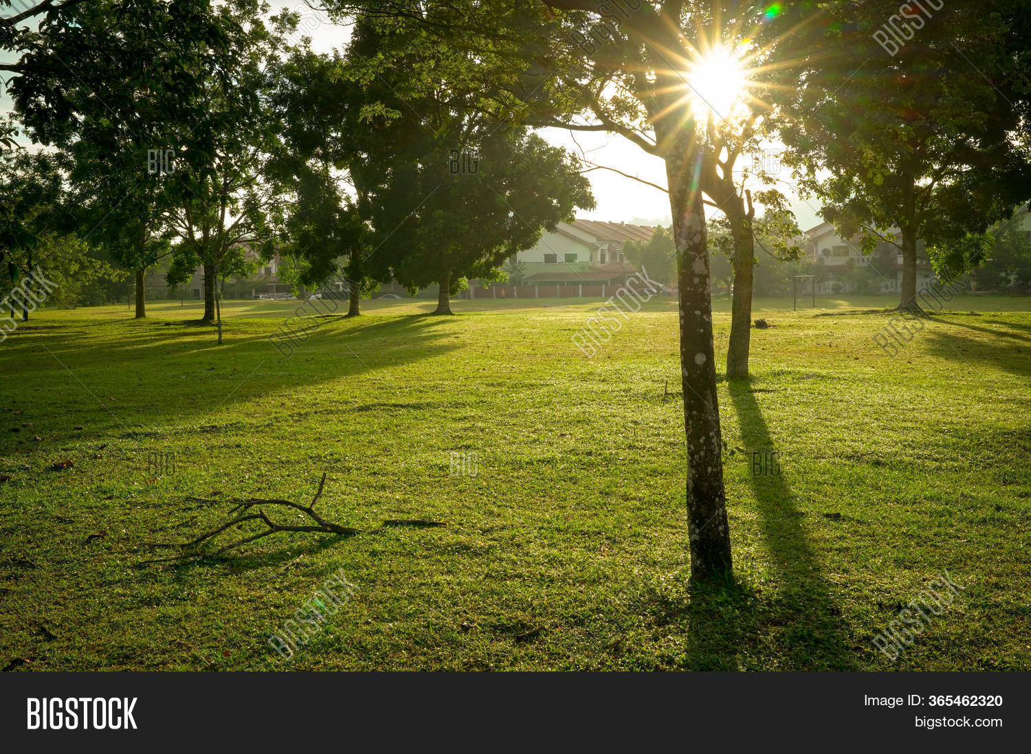 Beautiful Green Park Image & Photo (Free Trial) | Bigstock