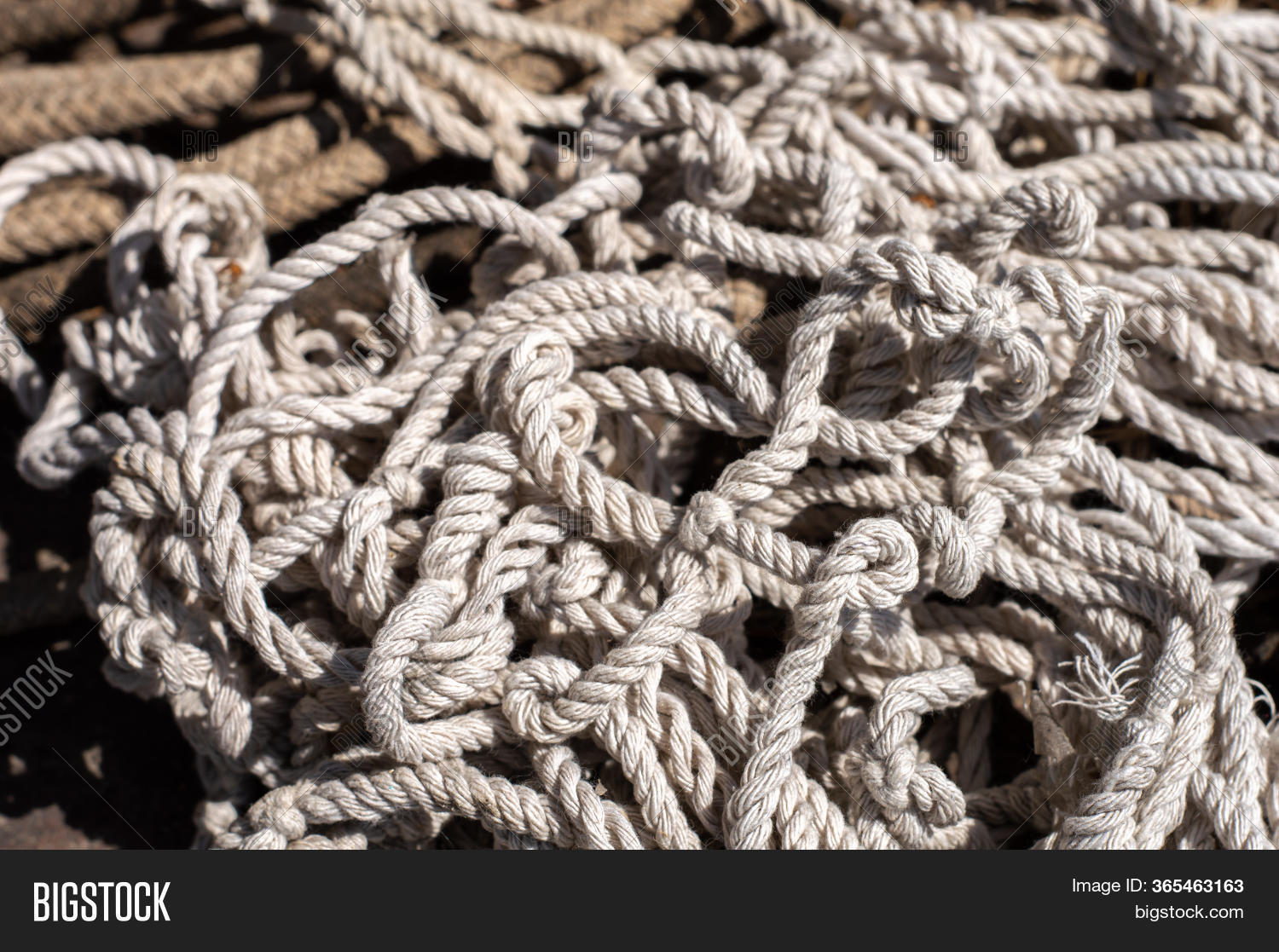 Texture Old Thin Rope Image & Photo (Free Trial) | Bigstock