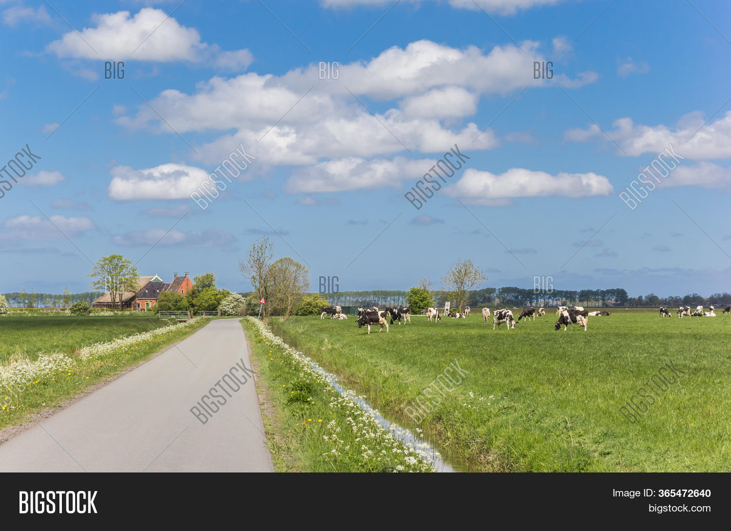 Narrow Country Road Image & Photo (Free Trial) | Bigstock