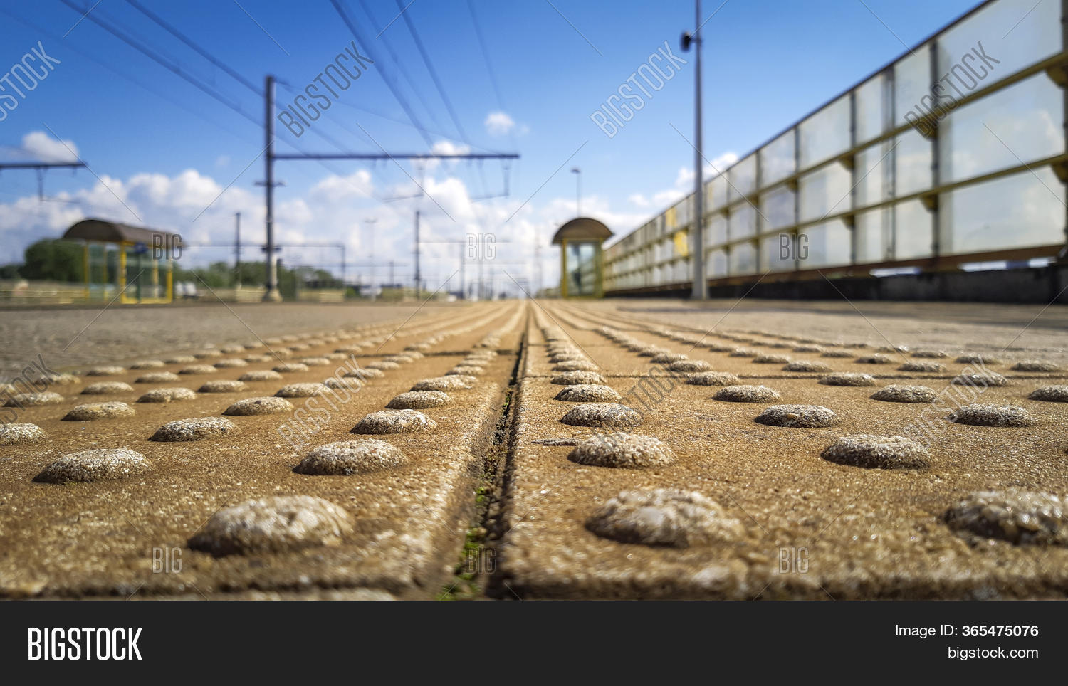 Close- Blind Guiding Image & Photo (Free Trial) | Bigstock