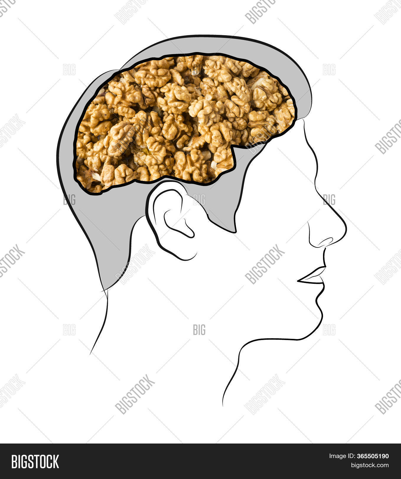 Food Brain, Human Image & Photo (Free Trial) | Bigstock
