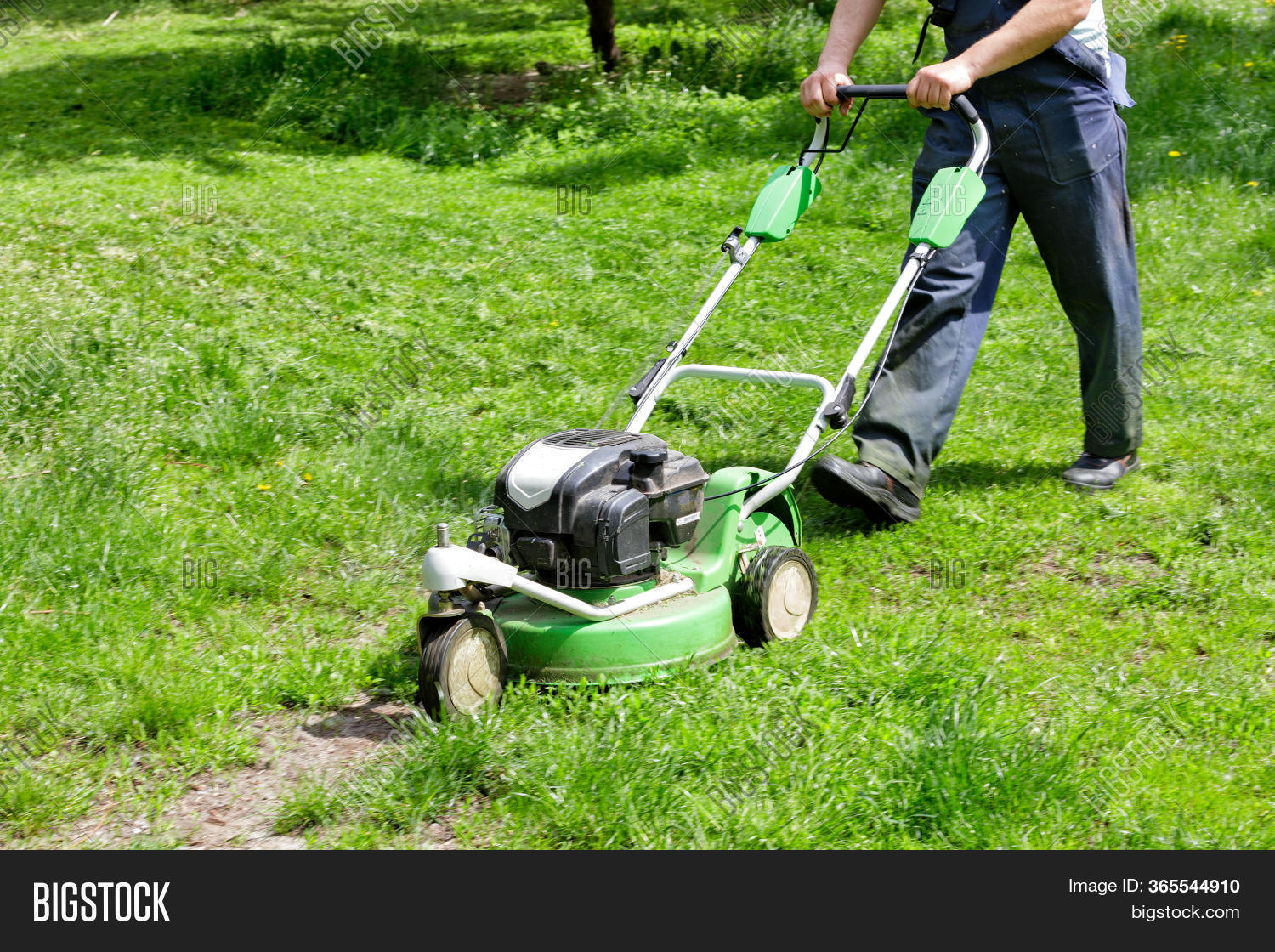 Worker Gas Mower Mows Image & Photo (Free Trial) | Bigstock