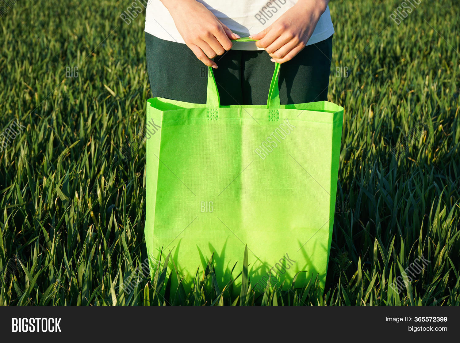 Ecological Bag Hands Image & Photo (Free Trial) | Bigstock