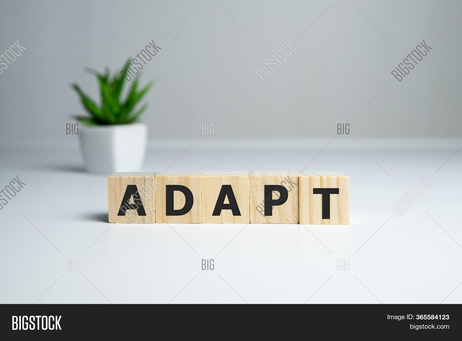 Adapt Word Made Image & Photo (Free Trial) | Bigstock