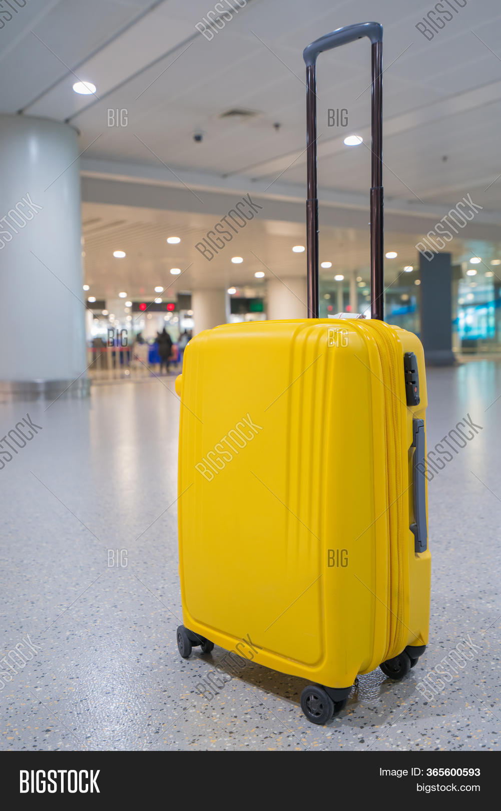 Trolley Case, Suitcase Image & Photo (Free Trial) | Bigstock