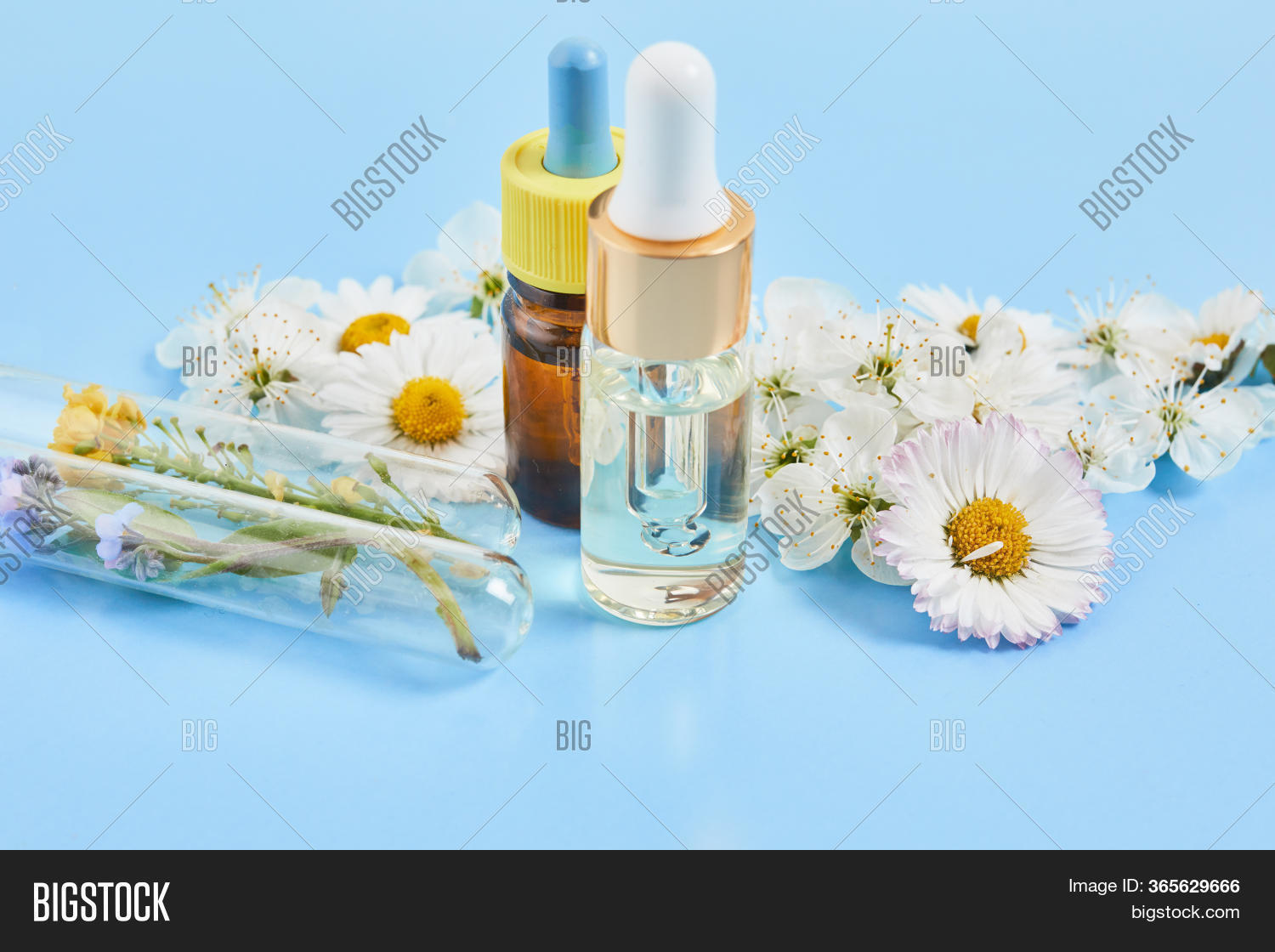 Natural Cosmetics Image & Photo (Free Trial) | Bigstock