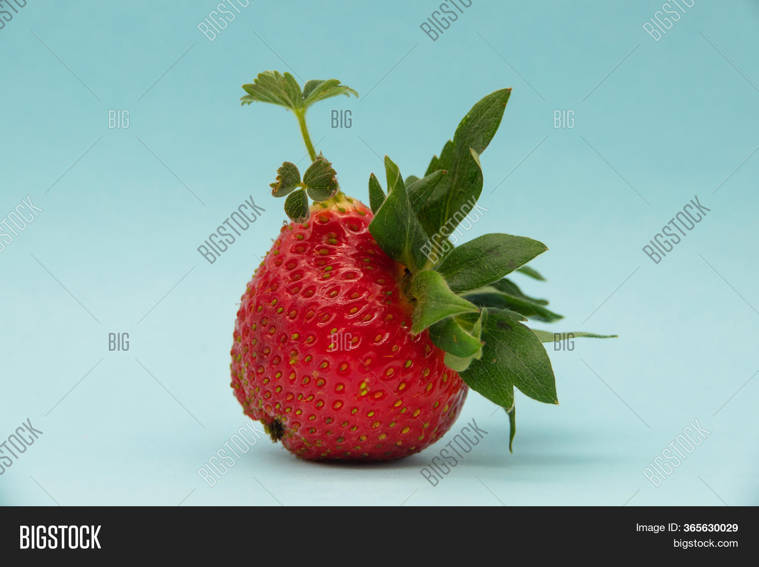 Fresh Strawberries Image & Photo (Free Trial) | Bigstock