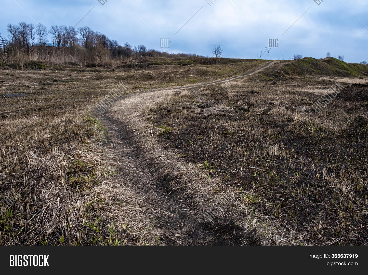 Winding Narrow Path On Image & Photo (Free Trial) | Bigstock